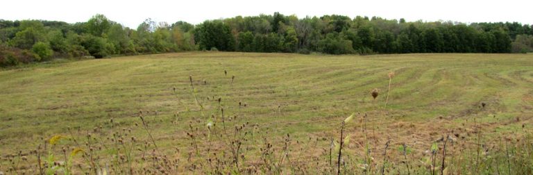 Protecting Your Land – Greene Land Trust