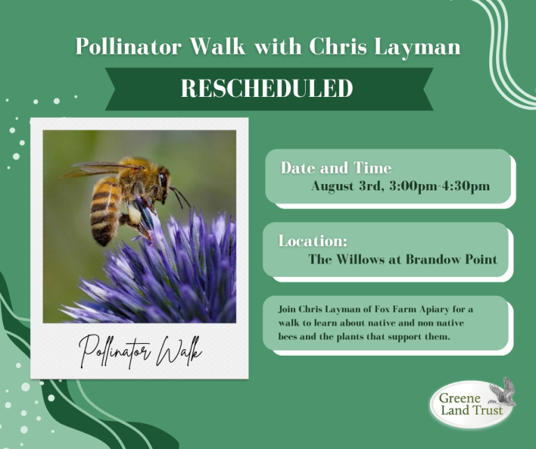 August 3, 2025: Pollinator Walk with Chris Layman – Greene Land Trust